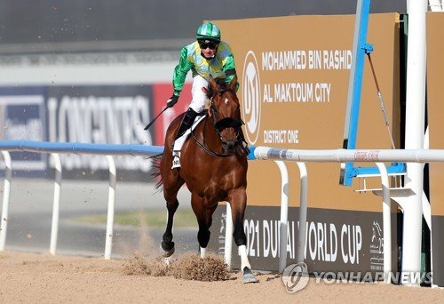 UAE HORSE RACING DUBAI WORLD CUP 2021 : 네이트 뉴스