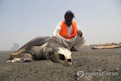 PAKISTAN EARTH DAY : 네이트 뉴스