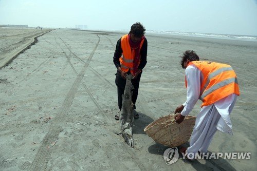 PAKISTAN EARTH DAY : 네이트 뉴스