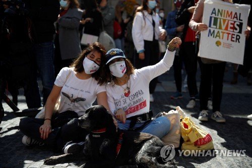 SPAIN PROTESTS ANIMALS : 네이트 뉴스