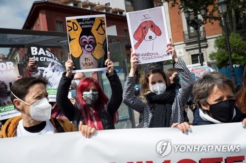 SPAIN PROTESTS ANIMALS : 네이트 뉴스