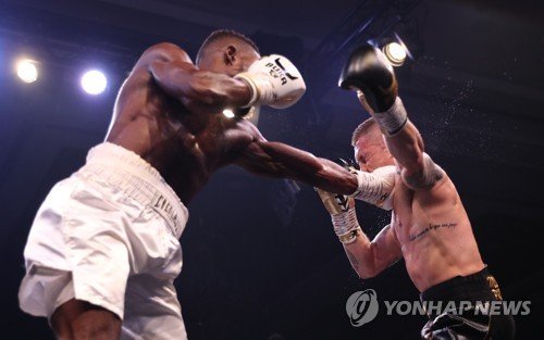 UAE BOXING : 네이트 뉴스