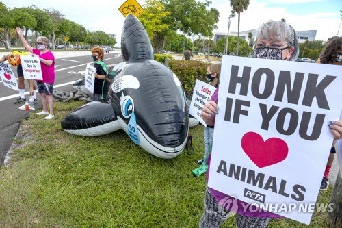 USA FLORIDA ANIMAL RIGHTS ACTIVISTS DEMONSTRATION : 네이트 뉴스