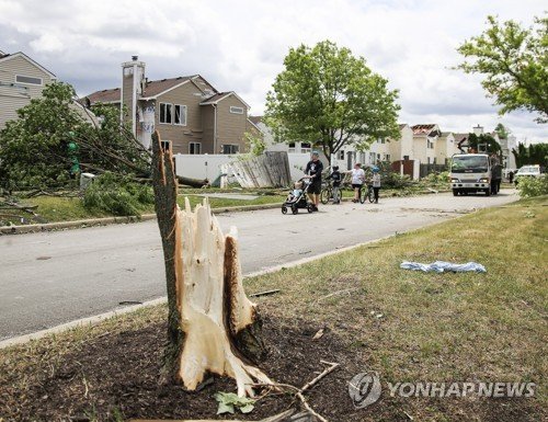USA WEATHER NAPERVILLE TORNADO DAMAGE : 네이트 뉴스