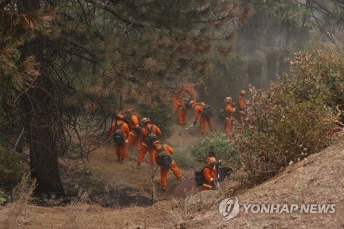 USA NORTHERN CALIFORNIA DIXIE FIRE : 네이트 뉴스