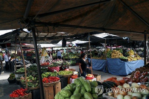 HONDURAS DAILY LIFE : 네이트 뉴스