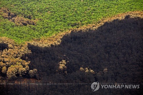 epaselect SPAIN FOREST FIRE : 네이트 뉴스