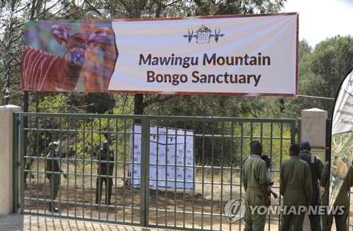 KENYA MAWINGU MOUNTAIN BONGO SANCUTUARY : 네이트 뉴스