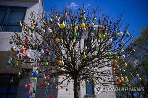 HUNGARY EASTER PARK : 네이트 뉴스