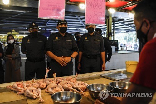 MALAYSIA CHICKEN EXPORT BAN : 네이트 뉴스