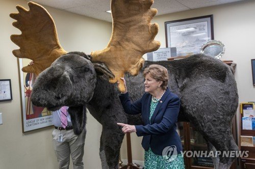 USA SENATE STUFFED ANIMALS : 네이트 뉴스