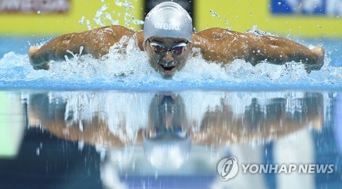 HUNGARY FINA WORLD AQUATICS CHAMPIONSHIPS : 네이트 뉴스