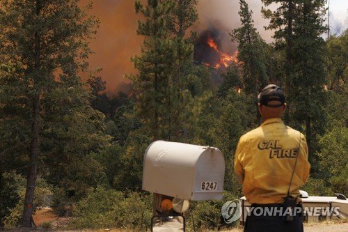 epaselect USA WILDFIRE OAK FIRE : 네이트 뉴스