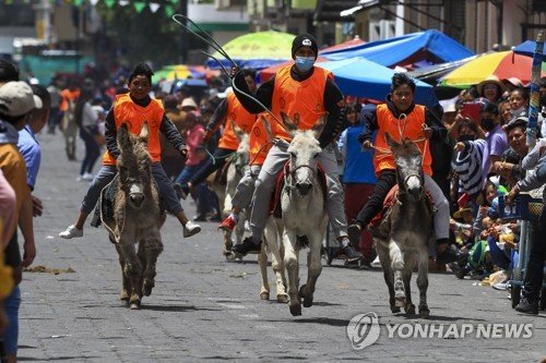 ECUADOR DONKEYS RACE : 네이트 뉴스