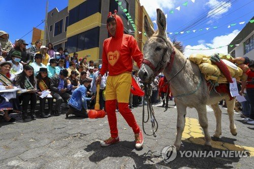 ECUADOR DONKEYS RACE : 네이트 뉴스