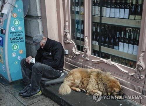 GEORGIA DAILY LIFE : 네이트 뉴스