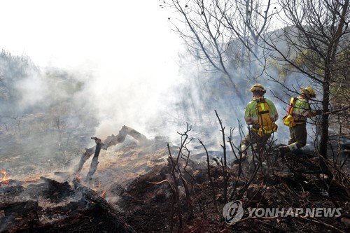 epaselect SPAIN FOREST FIRE : 네이트 뉴스