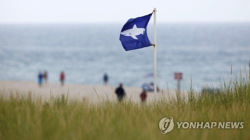 USA SHARKS CAPE COD : 네이트 뉴스