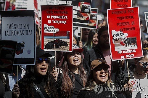 epaselect MEXICO PROTEST BULLFIGHTING : 네이트 뉴스
