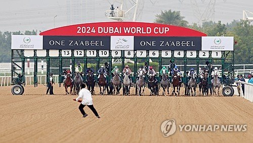 UAE HORSE RACING : 네이트 뉴스