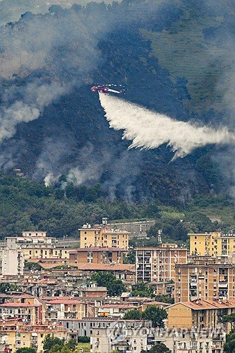 ITALY FIRE : 네이트 뉴스