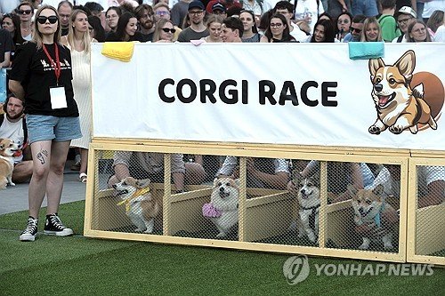 epaselect LITHUANIA DOG RACE : 네이트 뉴스
