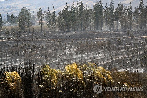 ECUADOR FIRES : 네이트 뉴스