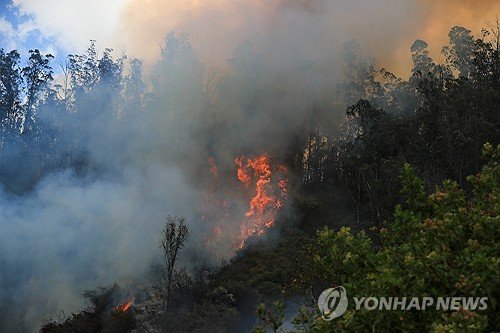 ECUADOR FIRES : 네이트 뉴스