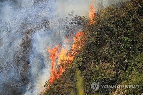 ECUADOR FIRES : 네이트 뉴스