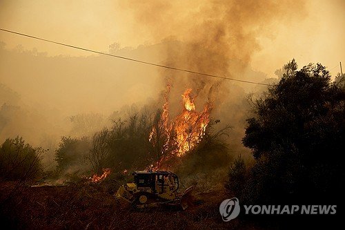 USA FELICIA FIRE : 네이트 뉴스