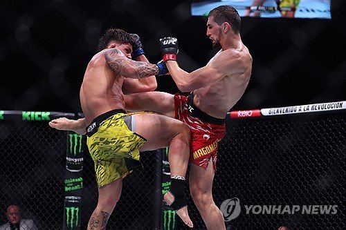 UAE UFC : 네이트 뉴스