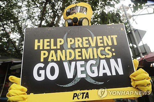 INDONESIA ANIMAL MARKET PROTEST : 네이트 뉴스