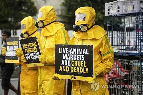 INDONESIA ANIMAL MARKET PROTEST : 네이트 뉴스
