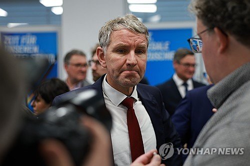 GERMANY AFD PARTIES : 네이트 뉴스