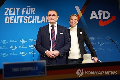 GERMANY AFD PARTIES : 네이트 뉴스