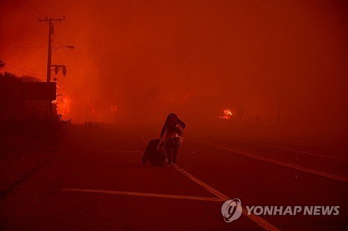 epaselect USA WILD FIRE : 네이트 뉴스