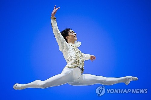 SWITZERLAND DANCE : 네이트 뉴스