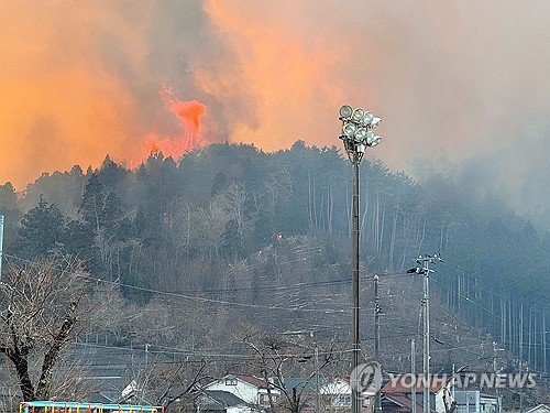 JAPAN WILDFIRES : 네이트 뉴스