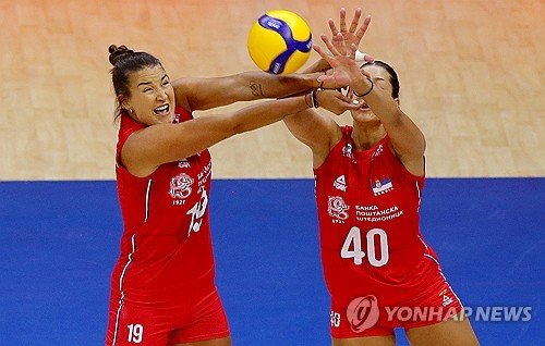 SERBIA VOLLEYBALL : 네이트 뉴스