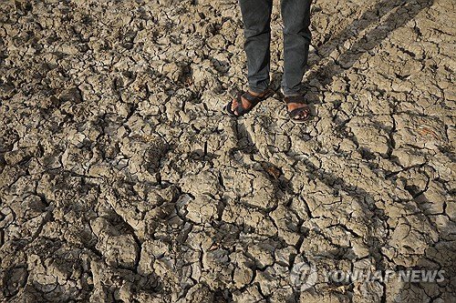 YEMEN DROUGHT : 네이트 뉴스