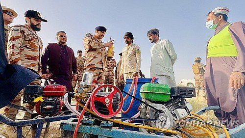 PAKISTAN POPPY FIELD : 네이트 뉴스