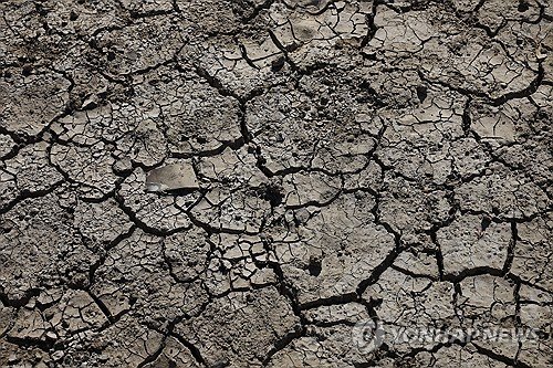 YEMEN DROUGHT : 네이트 뉴스
