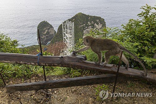 epaselect INDONESIA BALI GLASS ELEVATOR : 네이트 뉴스