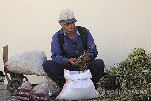 HONDURAS DAILY LIFE : 네이트 뉴스