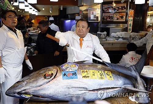 JAPAN NEW YEAR TUNA RECORD : 네이트 뉴스