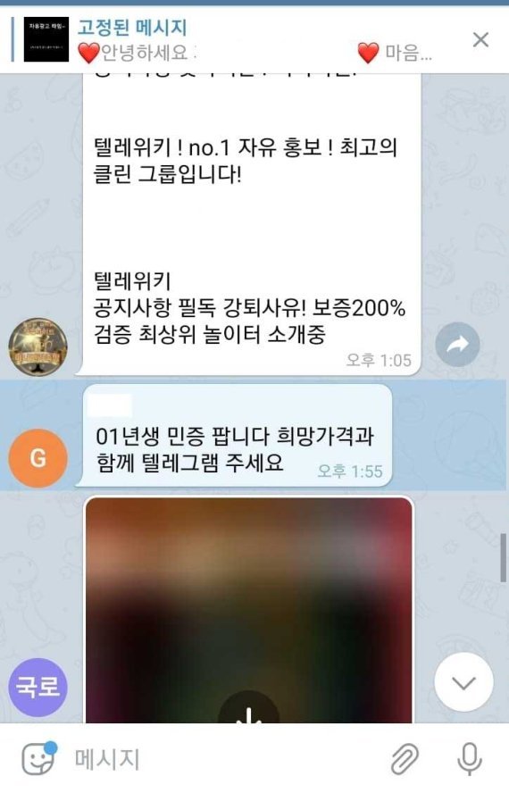 수사 대상될라 성착취 N번방 수만명 텔렉시트 네이트 뉴스