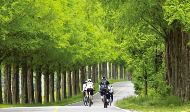 풍경 하나, 힐링 하나…두 바퀴의 선물 : 네이트 뉴스