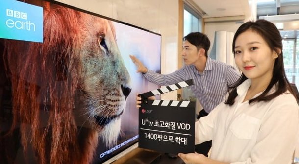 LG유플러스 "UHD VOD 1400편으로 2배 늘려" : 네이트 뉴스