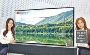 LGD, 롤러블 OLED '올해의 디스플레이상' : 네이트 뉴스