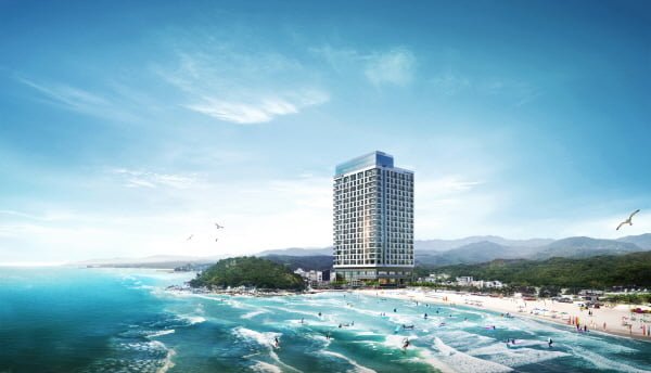 서핑의 성지 양양 죽도 '서프리조트 제이디' 랜드마크로 우뚝 서다 : 네이트 뉴스